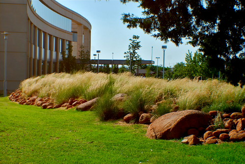 "Xeric Tallgrass Prairie"