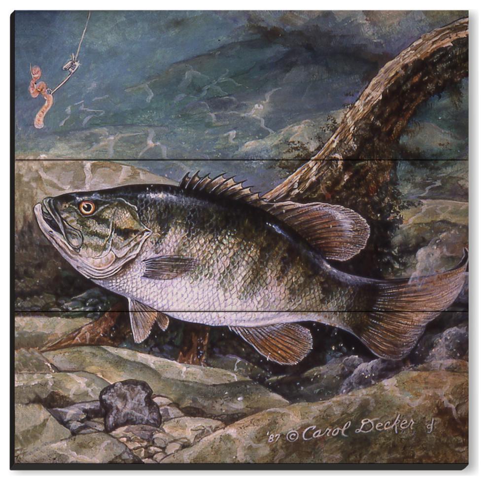 Wall Art, Small Mouth Bass, 12"x12" - Rustic - Prints And Posters - by ...