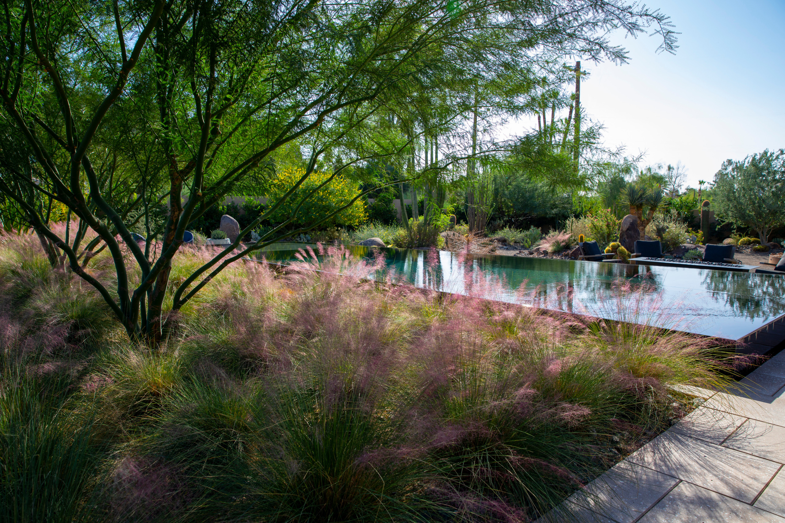 How to Design and Plant in Dry, Sunny Spots