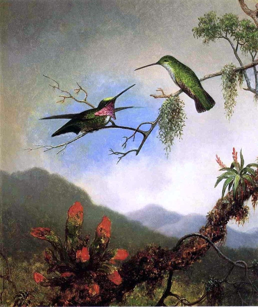 Martin Johnson Heade Amethyst Hummingbirds - 20" x 25" Premium Canvas ...