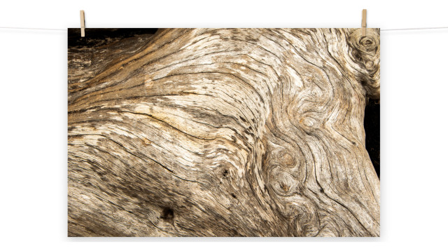 Rustic Beach Wall Prints: Driftwood Texture 3 Unframed, 8" X 10" - Contemporary - Prints And ...