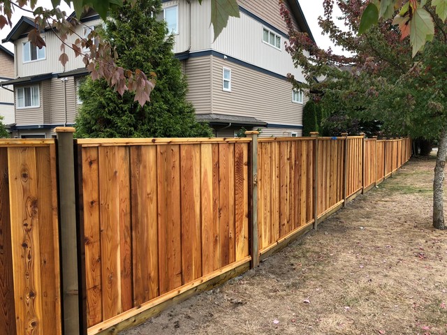#1 grade cedar overlap board panels + pre stain 200+ linear feet ...