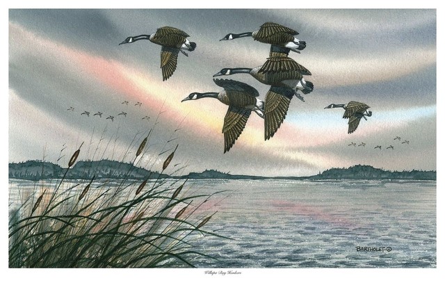 by Artist Dave Bartholet Willapa Bay Honkers Art Print, 24"x36 ...