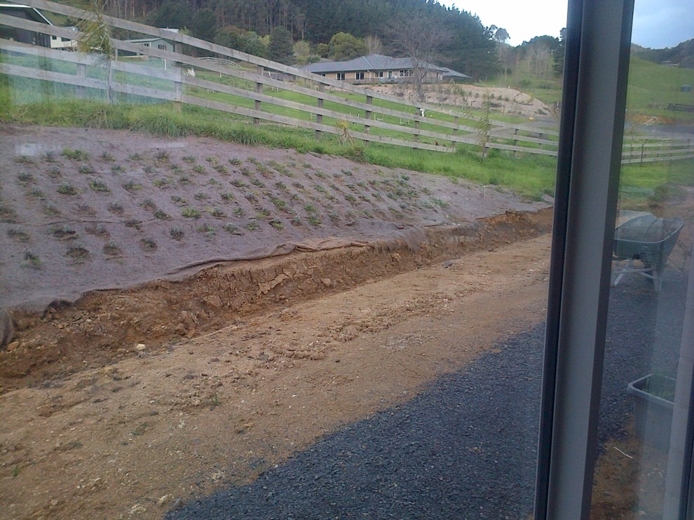 Help! Need landscaping ideas for steep bank! | Houzz NZ