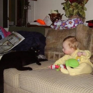 JOE - Project Photos & Reviews - Grand Ledge, MI US | Houzz