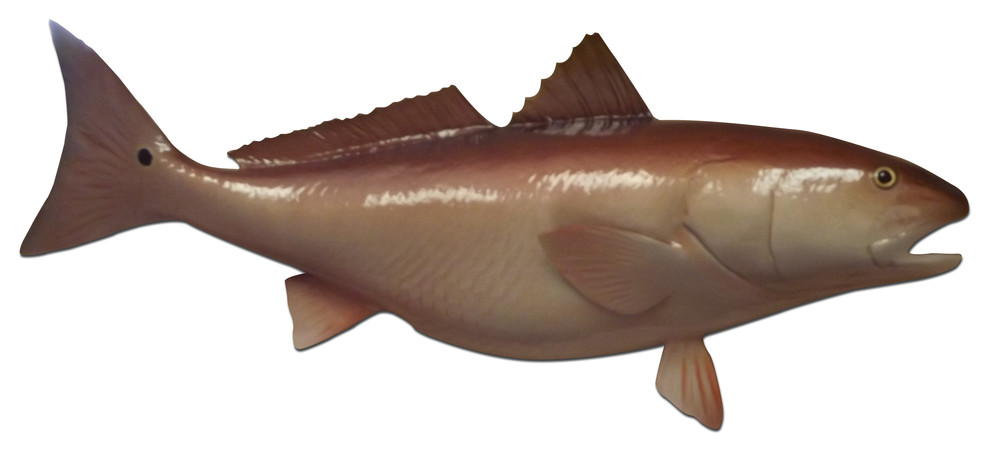 Redfish Half Mount Fish Replicas, 29" - Beach Style - Decorative ...