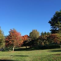 LU RUAN - Project Photos & Reviews - Sammamish, US | Houzz