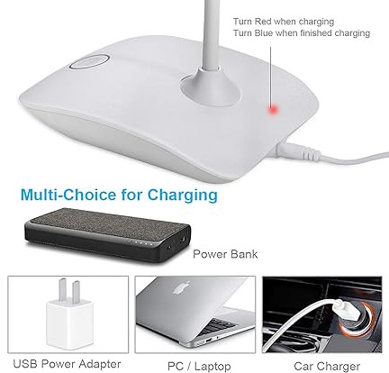 LED Desk Lamp with Flexible Gooseneck 3 Level Brightness, Battery ...