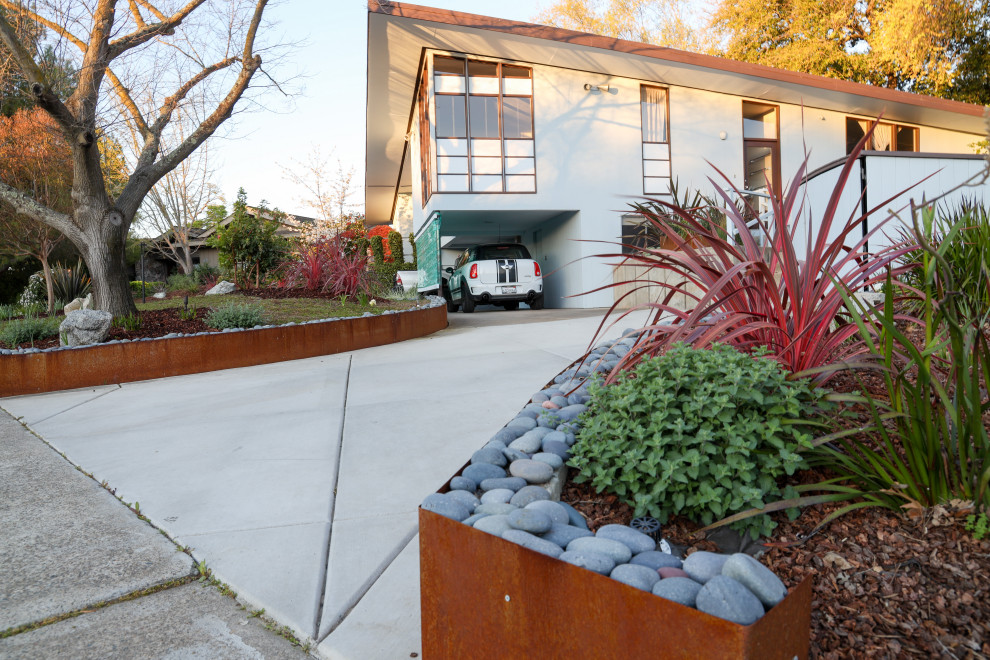 Mid-Century Front Yard - Midcentury - Landscape - Sacramento - by ...