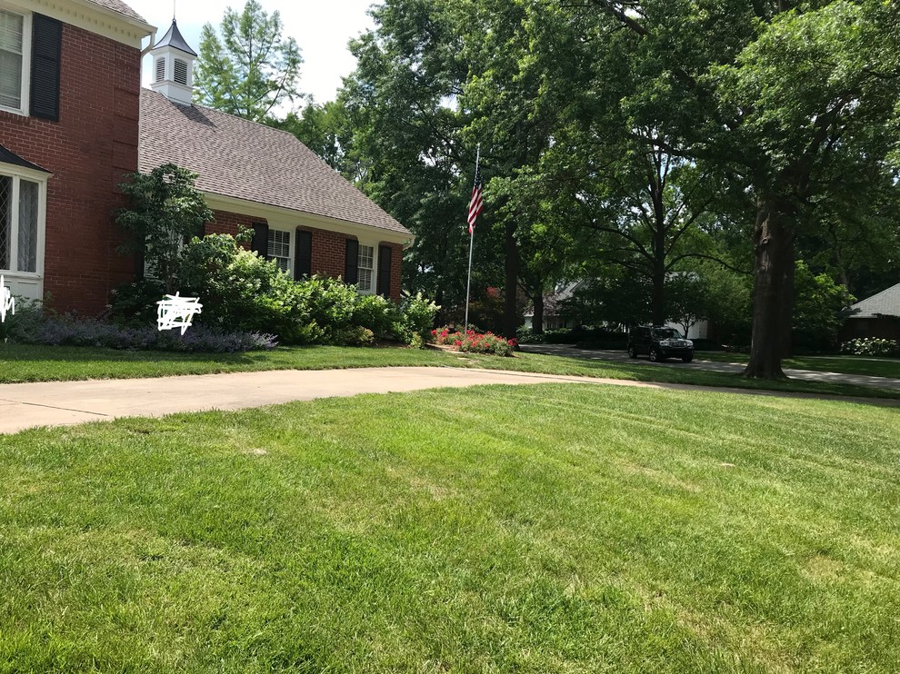Before and After: Front Lawn to Prairie Garden