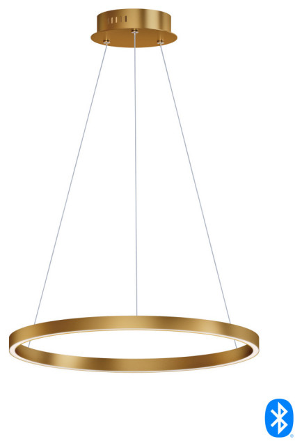 Groove 24" LED Pendant - Modern - Pendant Lighting - by The Lighthouse ...