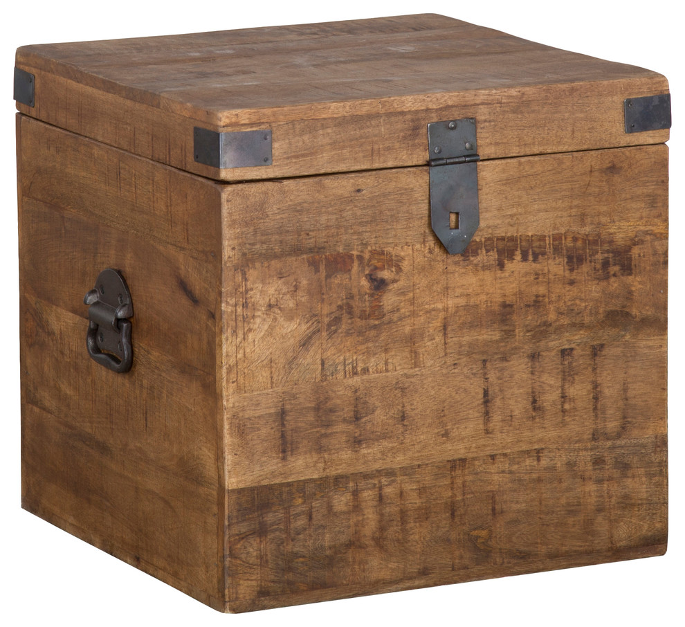 Livingston 18 inch Square Trunk by Kosas Home - Transitional ...