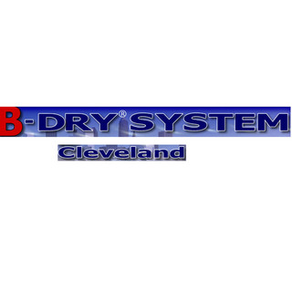 B-DRY SYSTEM CLEVELAND - Project Photos & Reviews - Bedford, OH US | Houzz