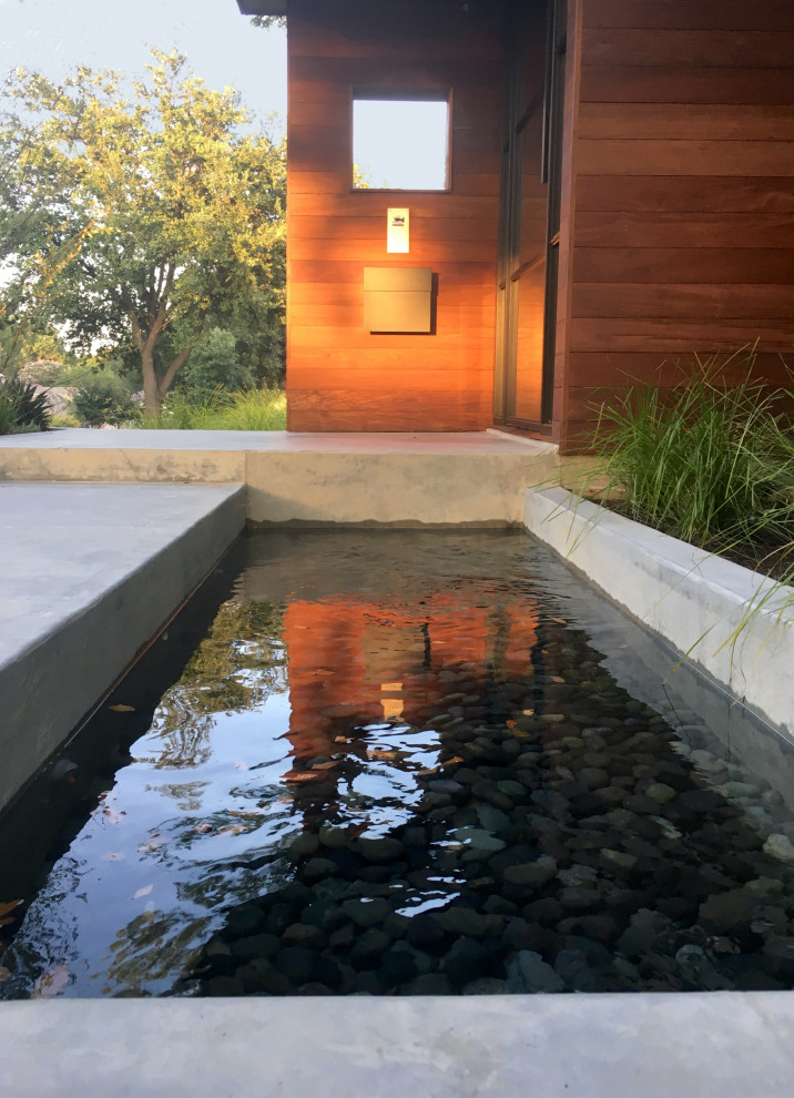 Modern Entry Fountain - Modern - Entry - Dallas - by Bonick Landscaping