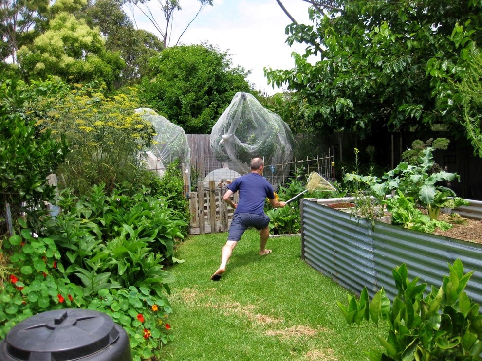 8 Examples of Zoned Gardens | Houzz AU