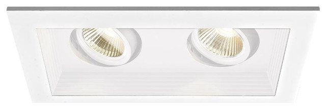 WAC Lighting 120V 2-Light Mini Multiple LED Two Light New Construction ...