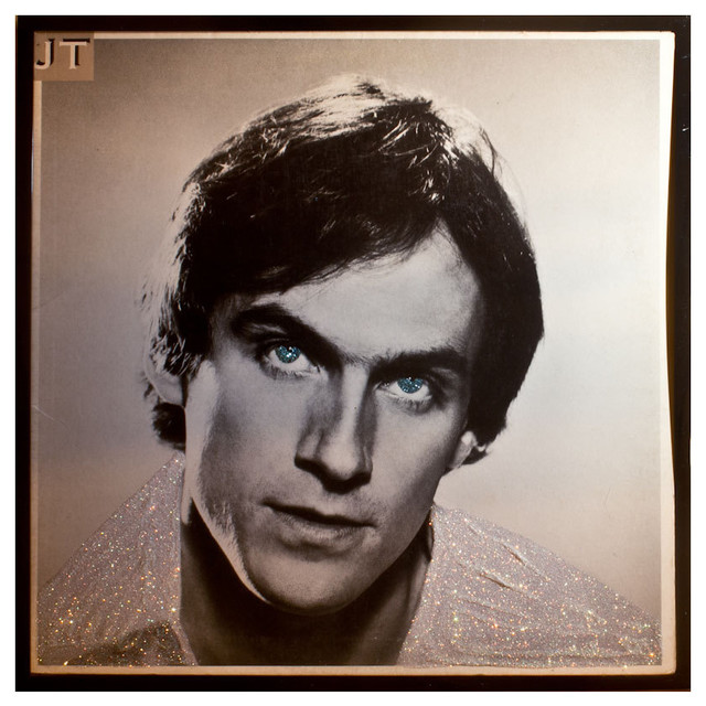 Glittered James Taylor JT Album - Contemporary - Artwork - by mmm designs