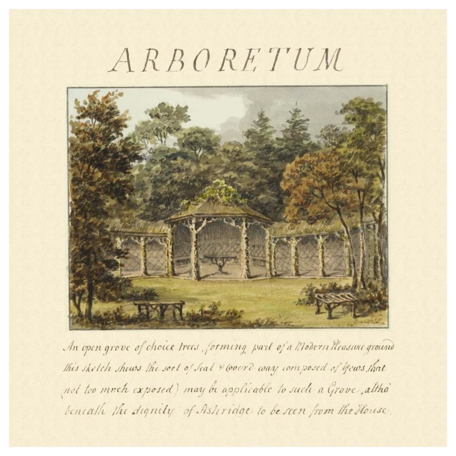 "Arboretum, 1813" Digital Paper Print by Humphry Repton, 20"x20", 20 ...
