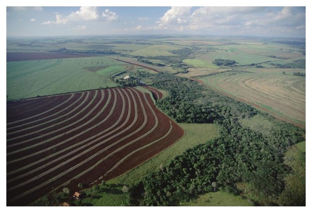 Farming Region With Forest Remnants, Southern Brazil-Paper Art, 12"x18 ...