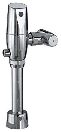 Exposed Selectronic Battery-Powered Toilet Flush Valve, Dual Flush ...