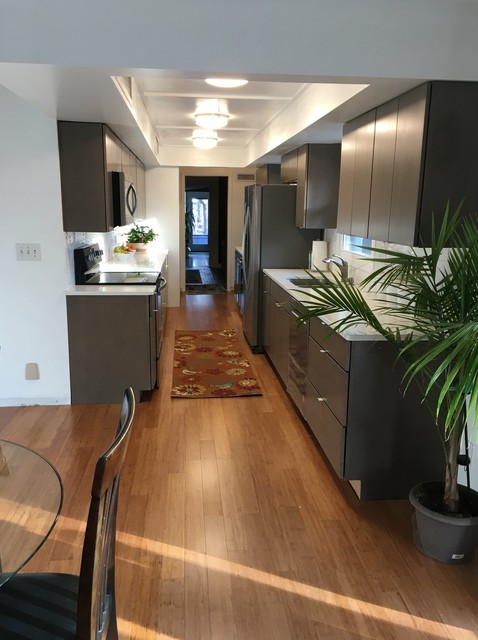 Modern Walk-through Kitchen - Kitchen - Chicago - by Von Tobel | Houzz UK