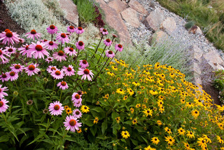 Natural Stone Mountain Landscape - Traditional - Landscape - Boise - by ...