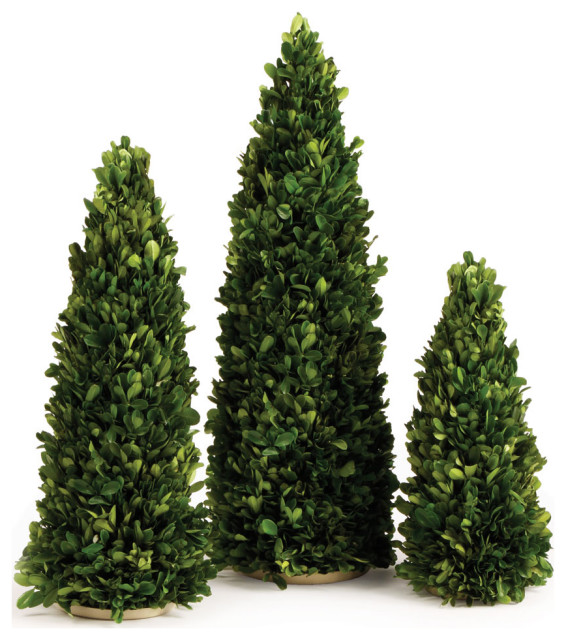 Boxwood Mini Trees, Set of 3, 6x6x20;5x5x16;4x4x12 - Plants - by Napa ...