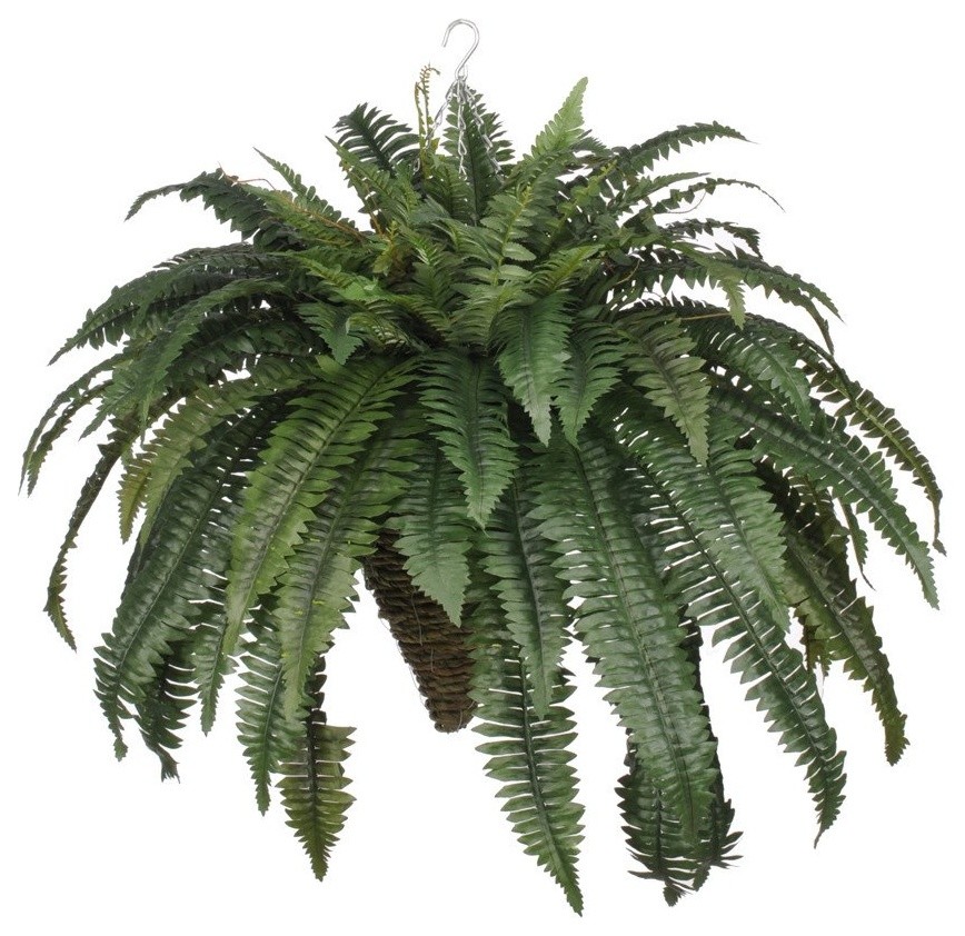 Artificial Fern in Cone Basket - Tropical - Artificial Plants And Trees ...