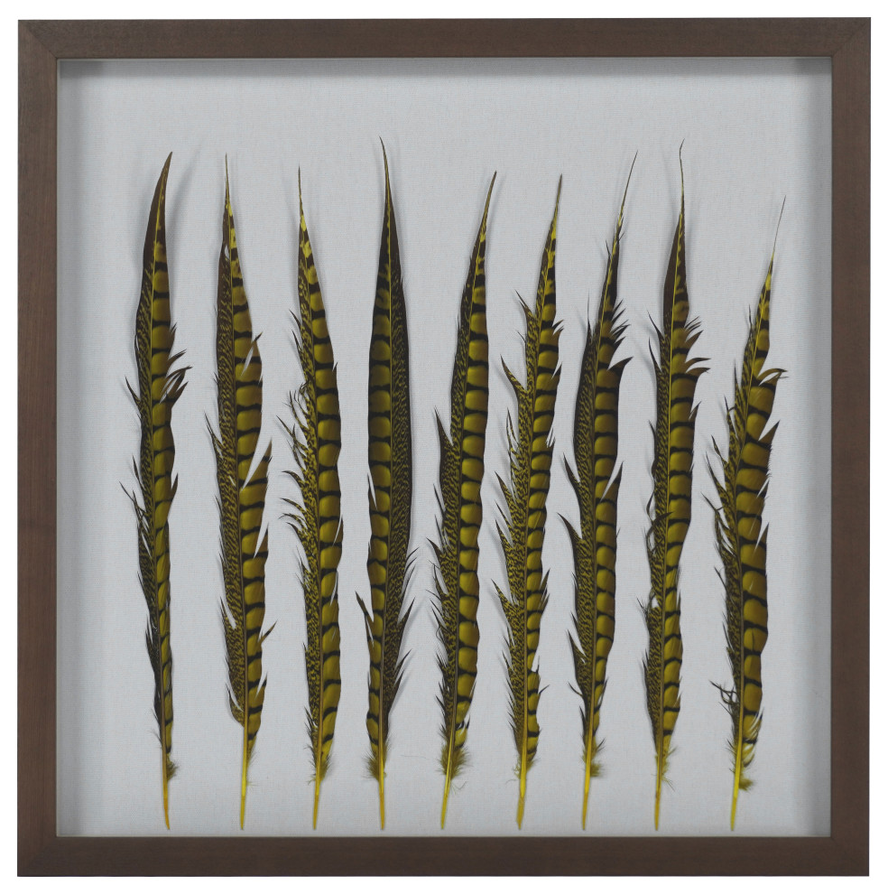 Golden Pheasant Feather Shadow Box Wall Décor - Contemporary - Wall ...
