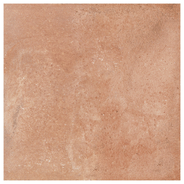 Manises Cuero Ceramic Floor and Wall Tile Sample - Contemporary - Tile ...