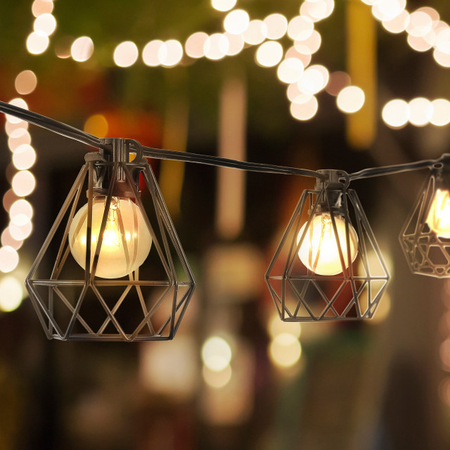 10-Light Indoor/Outdoor 10' Contemporary G40 String Lights, Black ...