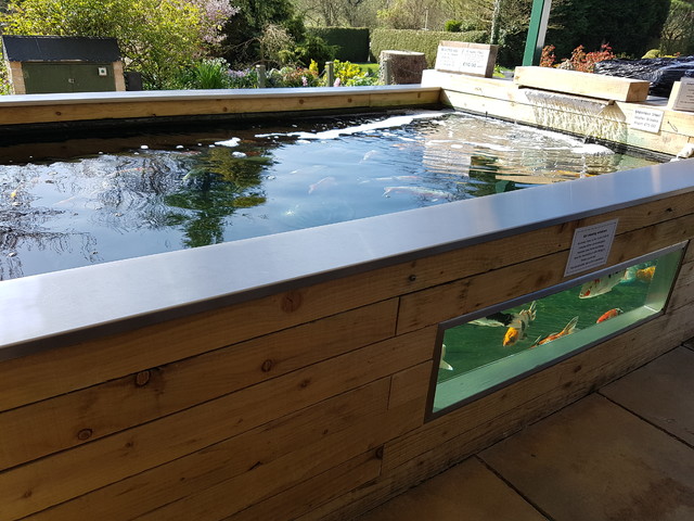 Stainless Steel Capped timber ponds with viewing windows. - Autres ...