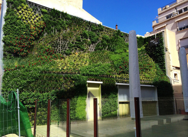 Edificio De Fachada Verde