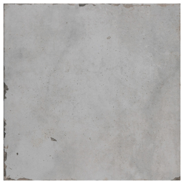 Renaissance Blanco Porcelain Floor and Wall Tile - Farmhouse - Wall And ...
