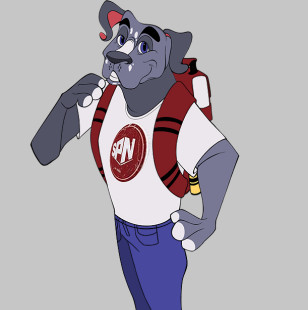 SPN CONSTRUCTION - Project Photos & Reviews - Phila, US | Houzz