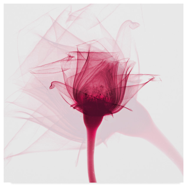 Bert Myers 'Rose Dance' Canvas Art, 35"x35" - Contemporary - Prints And ...