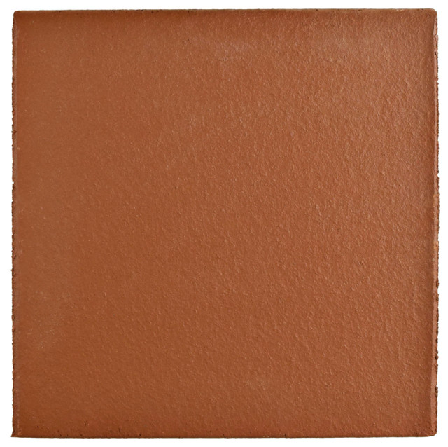 Klinker Quarry Floor and Wall Tile - Contemporary - Accent Trim And ...