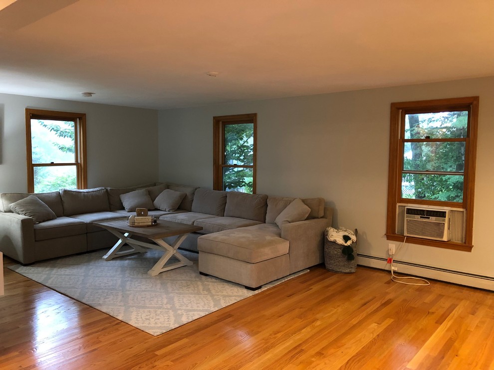 3 Single Window Treatments for Living Room - Help!
