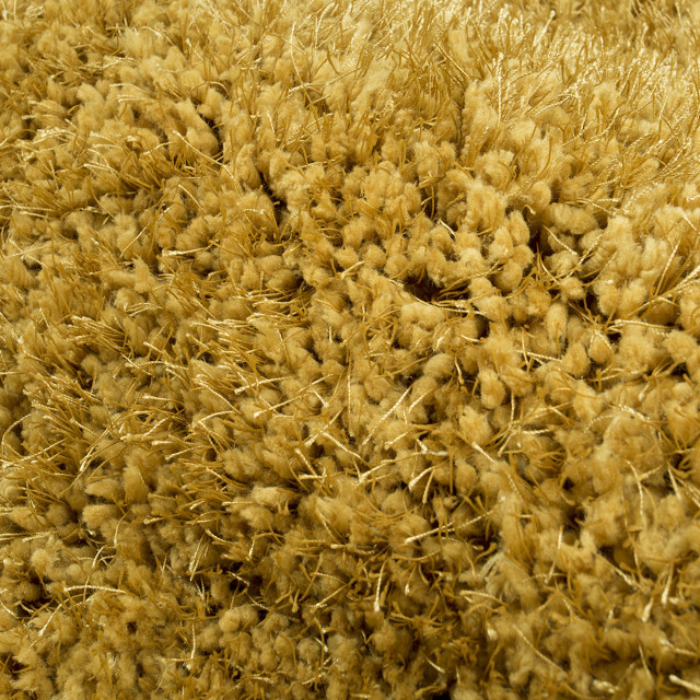 Ilithyia Suma Polyester Shag Area Rug - Contemporary - Area Rugs - by ...