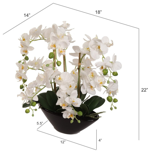 18"x13" White Phalaenopsis in 11" Boat Vase - Modern - Artificial ...