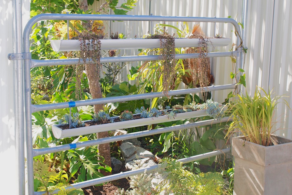 Perth Landscaping Minimalist - Contemporary - Perth - by sustainable ...