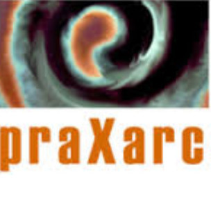 PRAXIS DESIGN - Project Photos & Reviews - Denver, CO US | Houzz