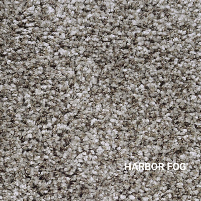 Carolina Shag Indoor Area Rug Carpet Collection, 12x20 - Contemporary ...
