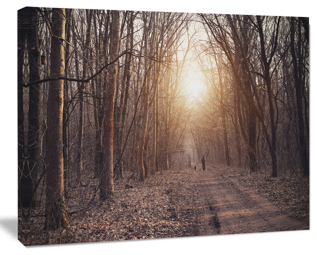 Forest Pathway View at Sunset, Modern Forest Canvas Art, 20"x12 ...