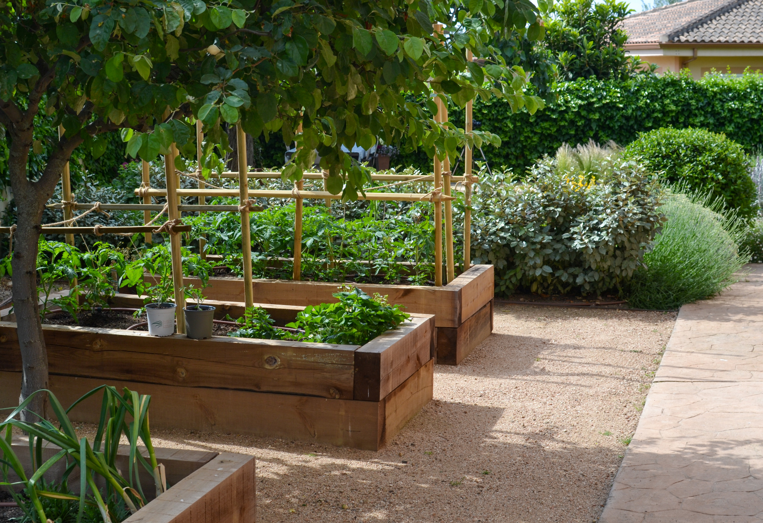 Spanish Garden Layout 10 Garden Ideas To Steal From Spain Gardenista