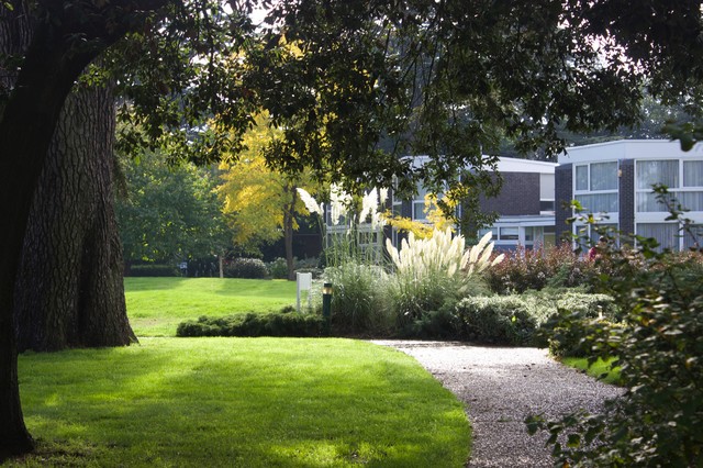 Garden Tour: An Idyllic Communal Garden Landscaped Around Ancient Trees ...