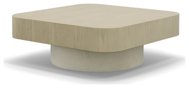 Modrest Teller Modern Square Coffee Table - Transitional - Coffee ...