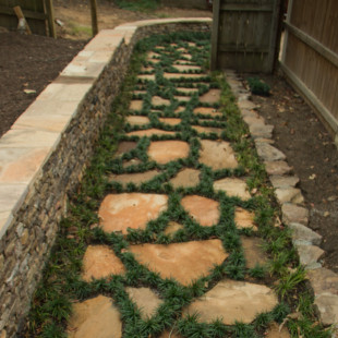 SOLO LANDSCAPE - Project Photos & Reviews - Germantown, US | Houzz