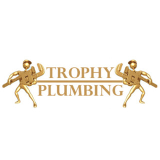 TROPHY PLUMBING LLC - Project Photos & Reviews - Lacy, WA US | Houzz