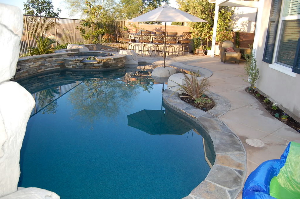 Palms for pool area?